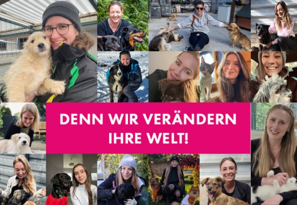 Tag des Ehrenamts 2025 | Hunderettung Europa